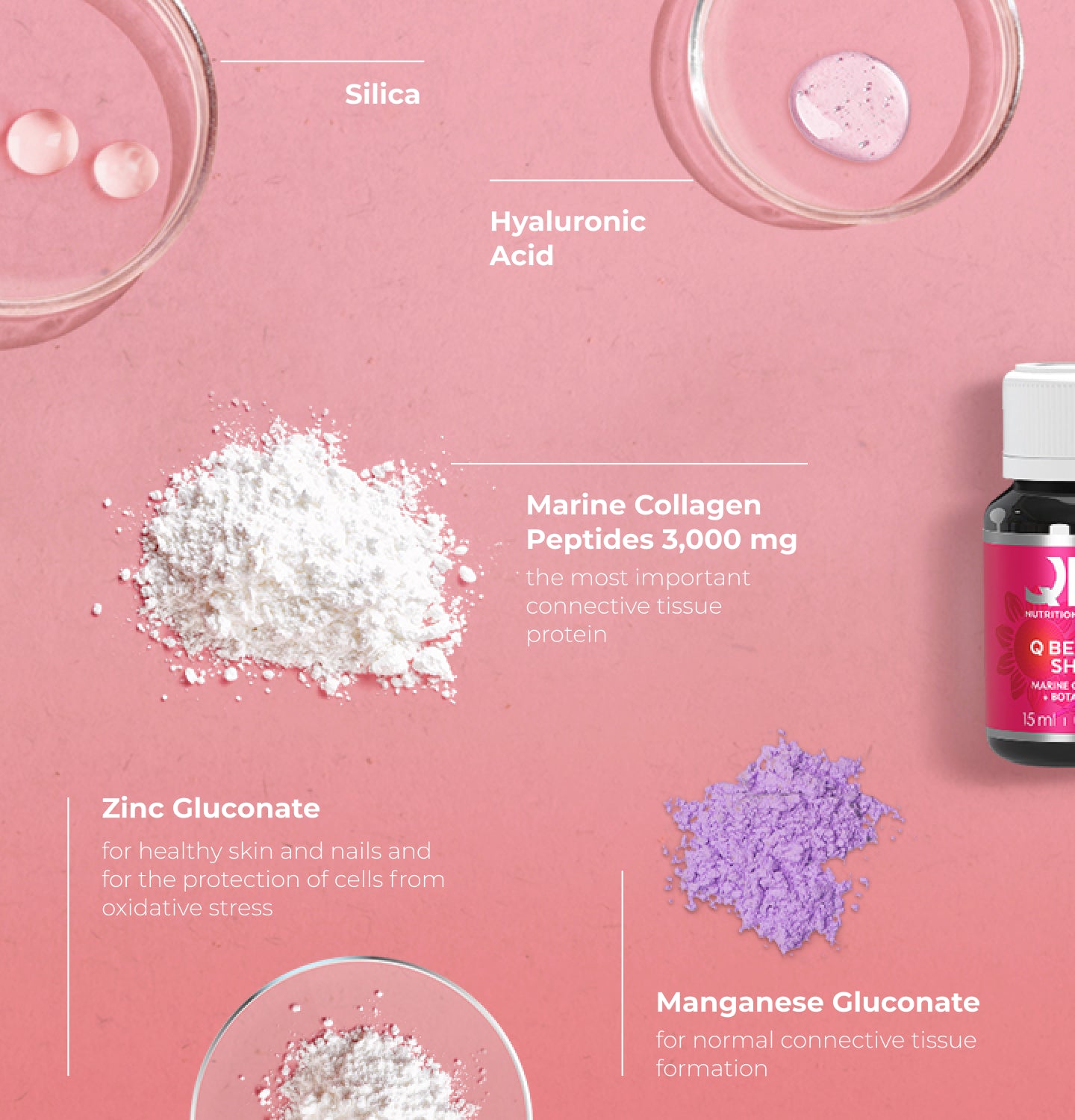 Q Beauty Shot – qlv-nutrition